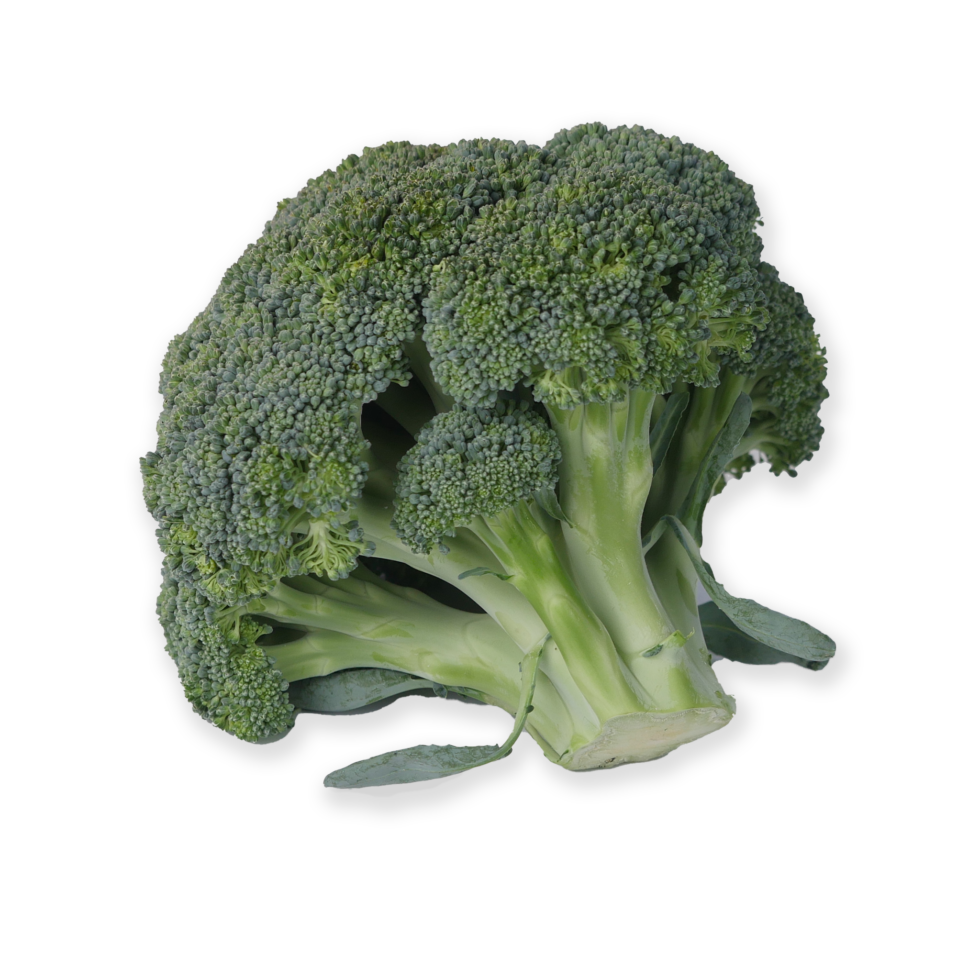 Broccoli – Tolpoort Vegetables | Vers, Verpakt